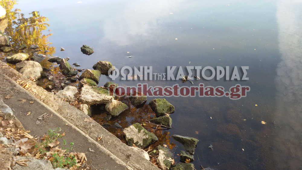 Σωτ. Αδαμόπουλος: «Η λίμνη της Καστοριάς δεν στεγνώνει» - Φωνή της ...