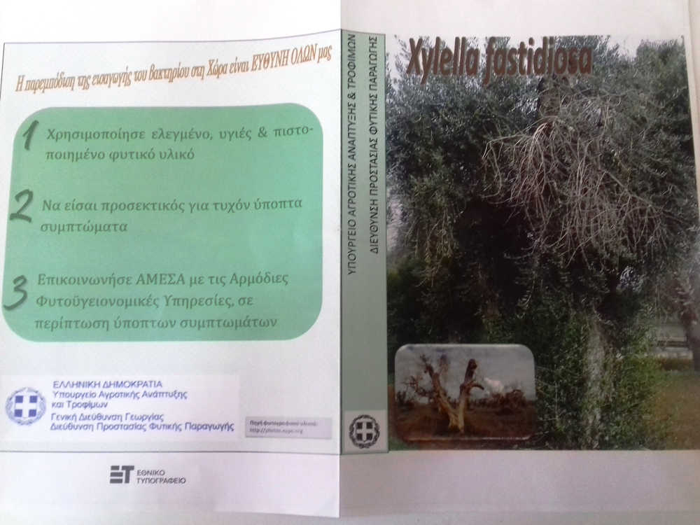Ενημέρωση για τον Επιβλαβή Οργανισμό Καραντίνας Xylella fastidiosa ...
