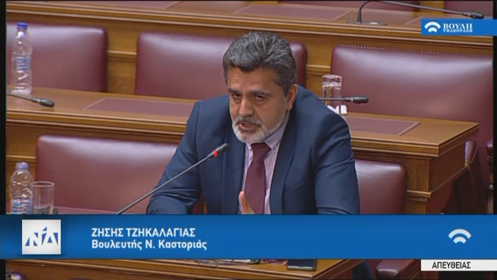 Ζ. Τζηκαλάγιας: Αναβάθμιση και ίσες ευκαιρίες στο δημόσιο και ιδιωτικό ...