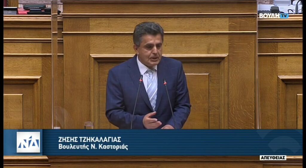 Ζ. Τζηκαλάγιας: Σε μία Ελλάδα ενεργειακό κόμβο και ασφαλή, με ποιοτικά ...